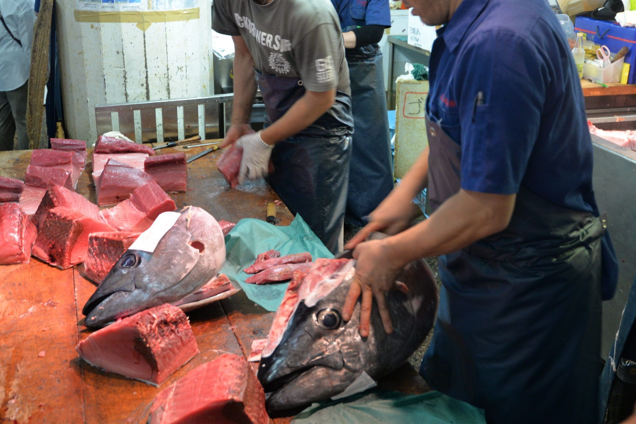 Local Tokyo Fish Market Tour and Nigiri Sushi Making Class - CHAGOHAN ...