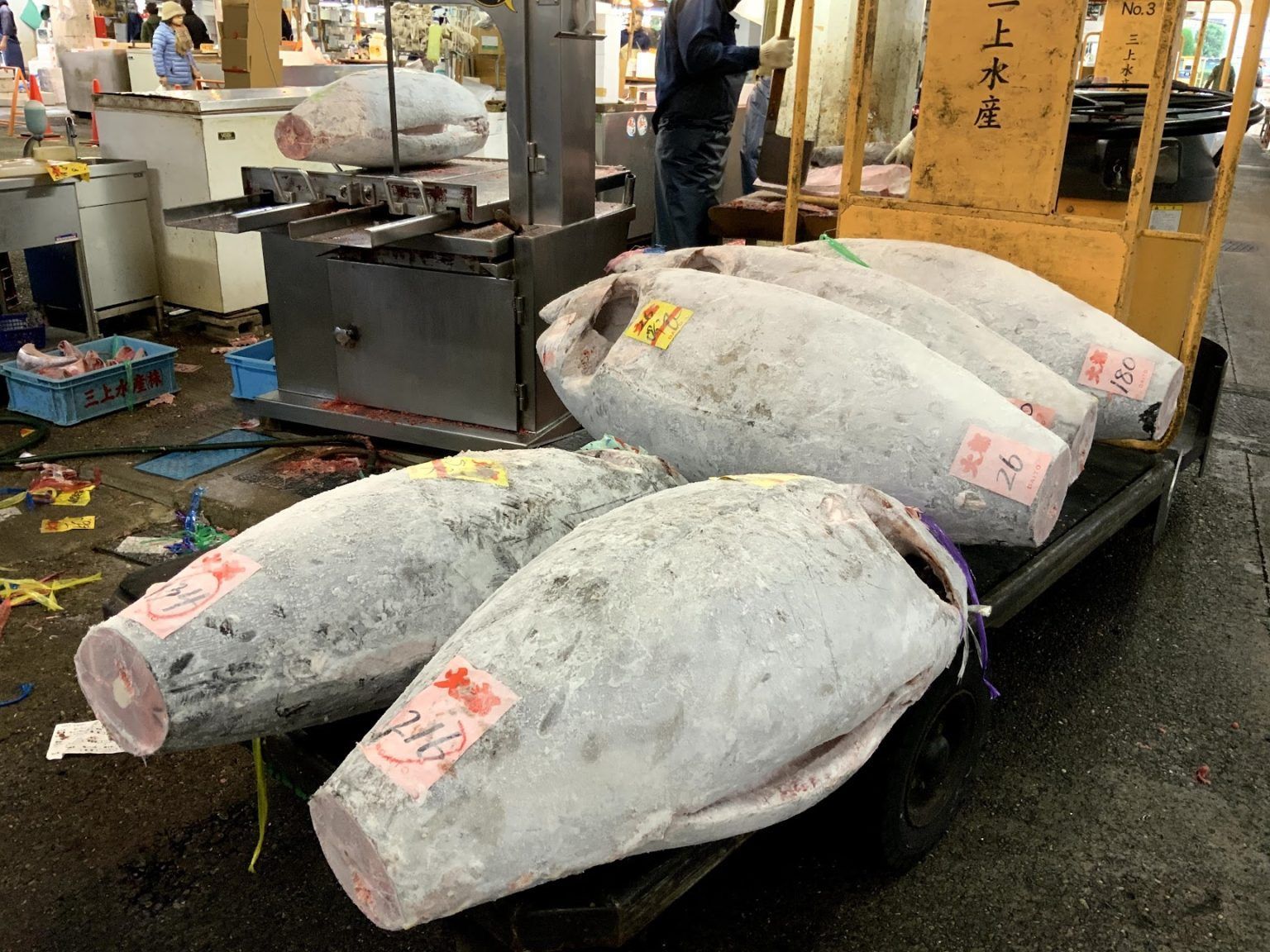 Local Tokyo Fish Market Tour and Nigiri Sushi Making Class - CHAGOHAN ...