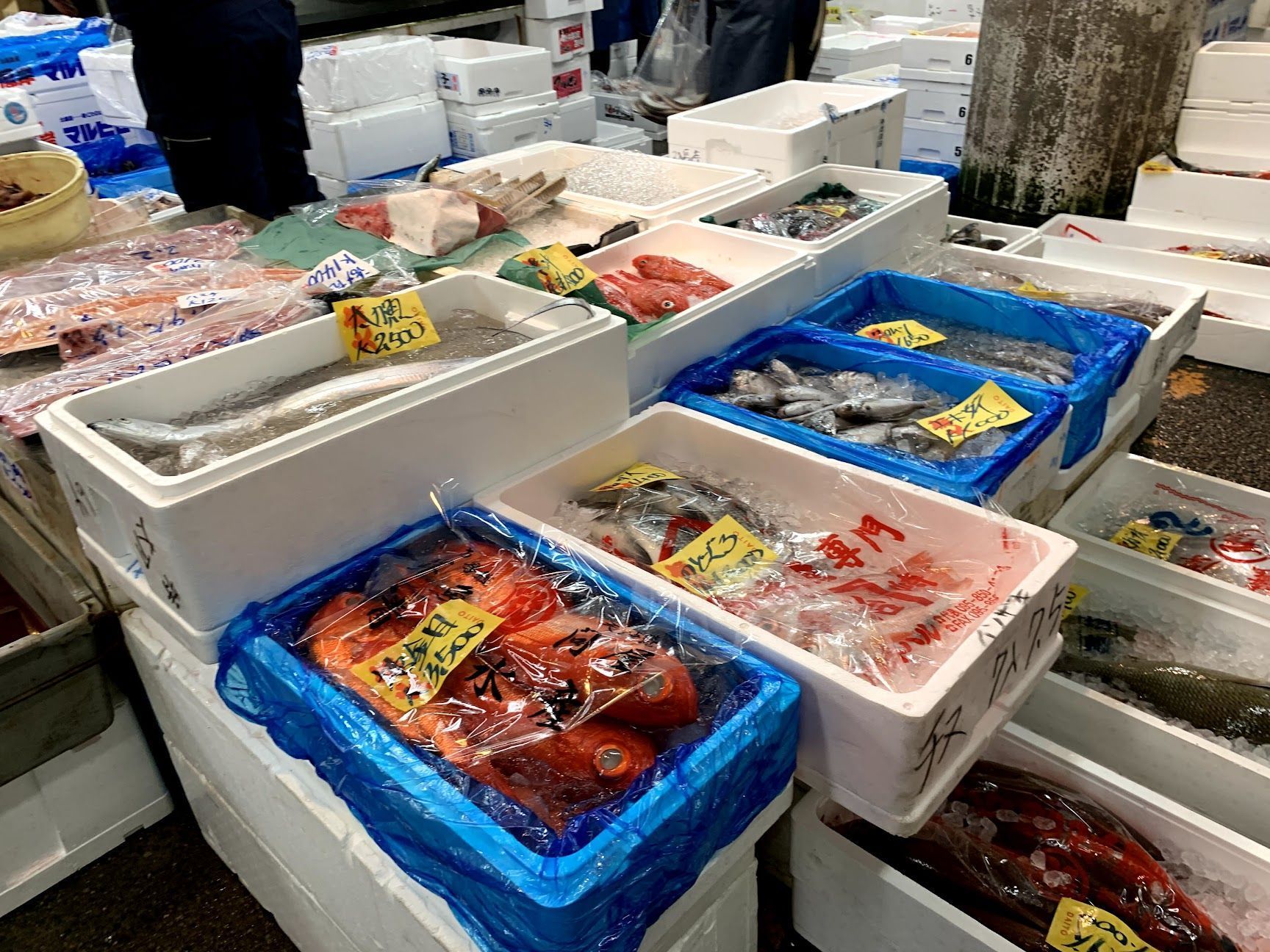 Local Tokyo Fish Market Tour and Nigiri Sushi Making Class - CHAGOHAN ...